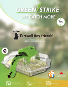 Ant Trap for Indoor and Outdoor Use - Liquid Ant Killer Bait - 3 Pack ...
